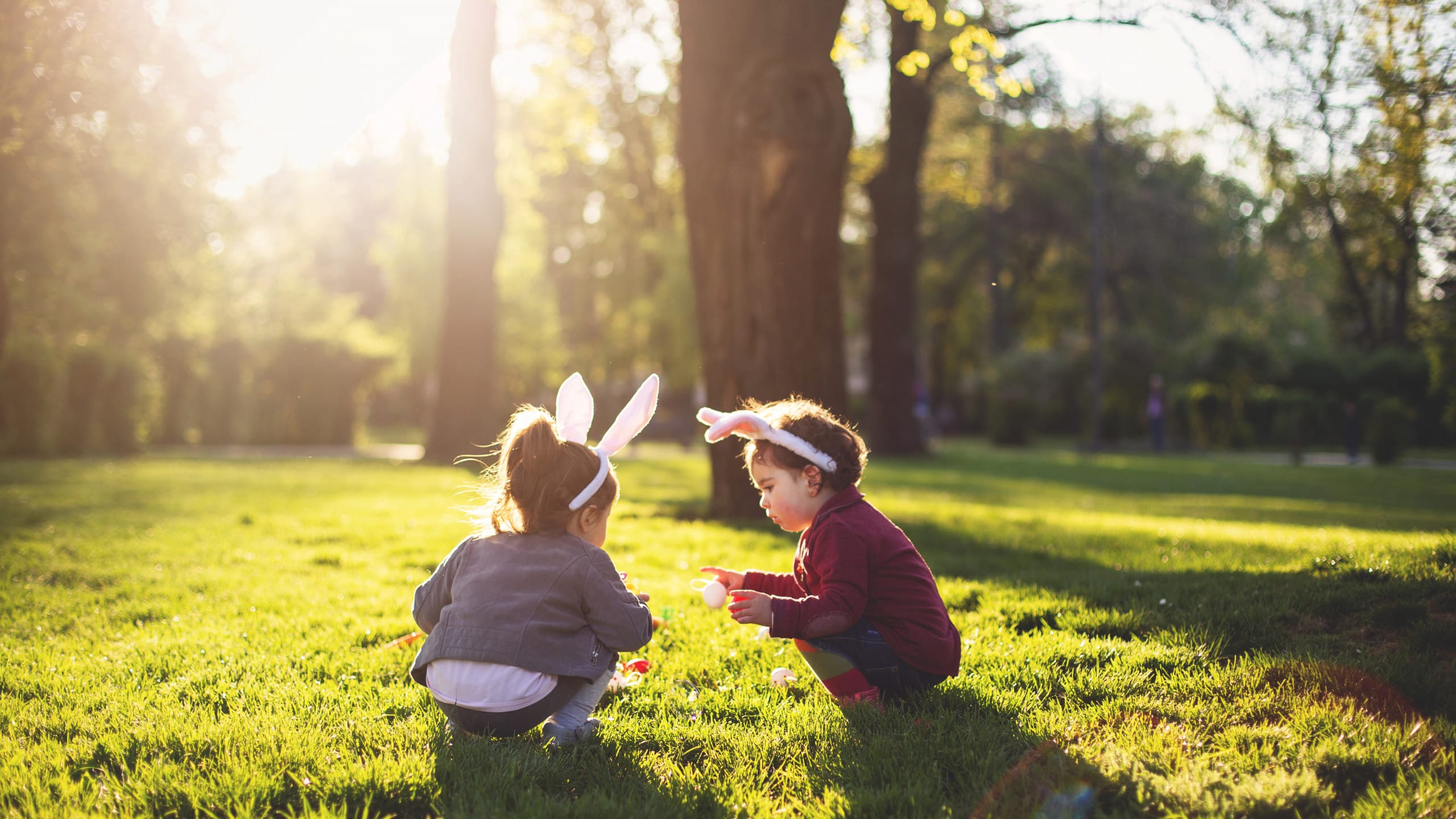 20 Backyard Easter Egg Hunt Ideas | ModularWalls